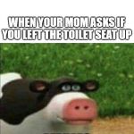 Perhaps cow Meme Generator - Imgflip