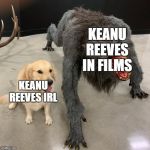 Good dog scary dog Meme Generator - Imgflip