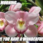 flower - Imgflip Search