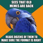 Paranoid Parrot Meme Generator - Imgflip
