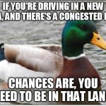 Actual Advice Mallard Meme Generator - Imgflip