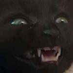 Loops Brother Meme Generator - Imgflip