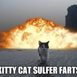 cat explosion Meme Generator - Imgflip