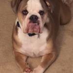 Kaiser Meme Generator - Imgflip