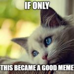 First World Problems Cat Meme Generator - Imgflip
