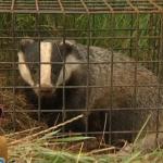 It's a trap! Meme Generator - Imgflip