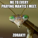 Praying Mantis Head Meme Generator - Imgflip