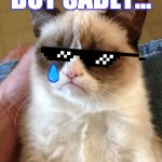 Grumpy Cat Meme Generator - Imgflip