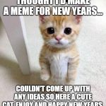 Cute Cat Meme Generator - Imgflip