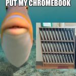 staring fish Meme Generator - Imgflip