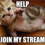 Help Me Kitten Meme Generator - Imgflip