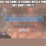 Current Objective: Survive Meme Generator - Imgflip
