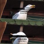 Inhaling Seagull Meme Generator - Imgflip