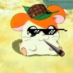 Hamtaro Blank Meme Template - Imgflip