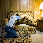 wfh Meme Generator - Imgflip