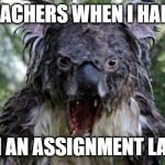 Angry Koala Meme Generator - Imgflip