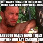 Tom Hanks Castaway tree Meme Generator - Imgflip