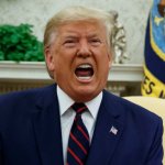 Trump Meme Generator - Imgflip