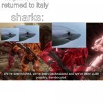 We have ben bamboozled halo Blank Template - Imgflip