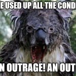 Angry Koala Meme Generator - Imgflip