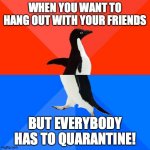 Socially Awesome Awkward Penguin Blank Meme Template - Imgflip