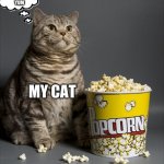 Cat eating popcorn Meme Generator - Imgflip