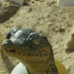 Croc Meme Generator - Imgflip