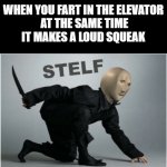 Stelf Meme Generator - Imgflip