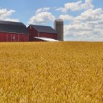 rural barn Meme Generator - Imgflip