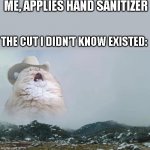 Screaming Cowboy Cat Meme Generator - Imgflip