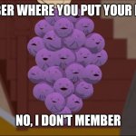 Member Berries Meme Generator - Imgflip