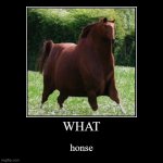 Demotivational Poster Maker - Imgflip