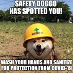 Safety doggo Meme Generator - Imgflip