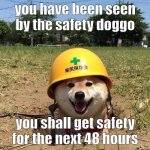 Safety doggo Meme Generator - Imgflip