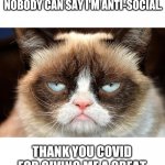 Grumpy Cat Not Amused Meme Generator - Imgflip
