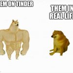 Strong dog vs weak dog Meme Generator - Imgflip