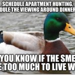 Actual Advice Mallard Meme Generator - Imgflip