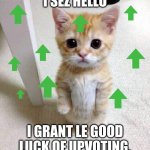 Cute Cat Meme Generator - Imgflip
