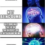 levels of intelligence Meme Generator - Imgflip