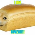 Doge bread Meme Generator - Imgflip