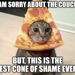 pizza cat Meme Generator - Imgflip