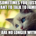 First World Problems Cat Meme Generator - Imgflip