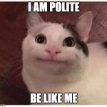 Polite Cat Meme Generator - Imgflip