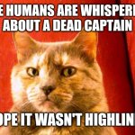 Suspicious Cat Meme Generator - Imgflip