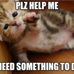 Help Me Kitten Meme Generator - Imgflip