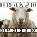 Sheep Meme Generator - Imgflip