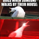 Screaming bird Meme Generator - Imgflip