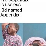 Crying kid Meme Generator - Imgflip