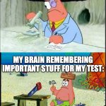 PAtrick, Smart Dumb Meme Generator - Imgflip