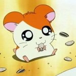 Hamtaro Meme Generator - Imgflip